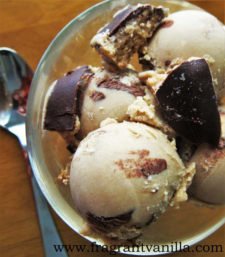 Vegan Tag-Along Ice Cream | Fragrant Vanilla Cake