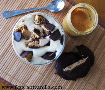 Raw Tag Along Blizzard | Fragrant Vanilla Cake